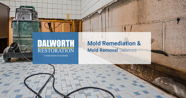 Mold Remediation Services in Dallas-Fort Worth