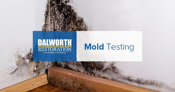 Third-Party Mold Testing in Dallas-Fort Worth